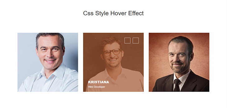 Bootstrap Style Hover Effect | Bootstrap Themes
